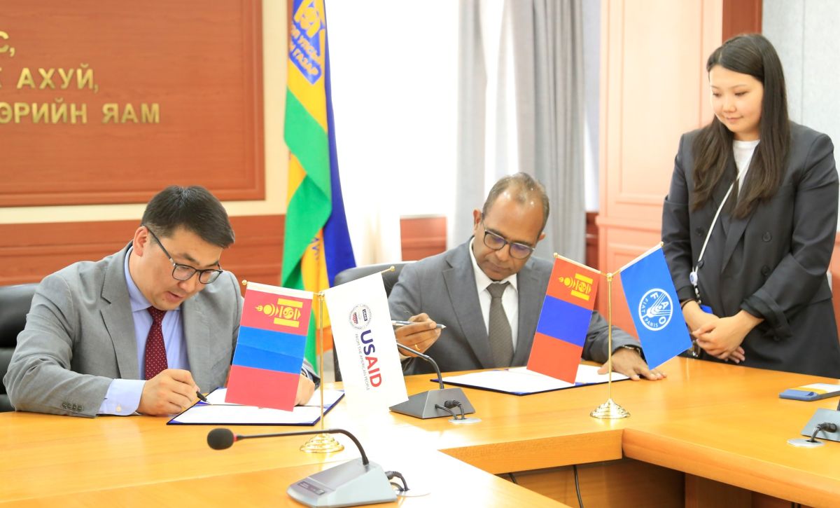 Хүнсний ногооны үйлдвэрлэлийг дэмжих шинэ төсөл хэрэгжүүлнэ